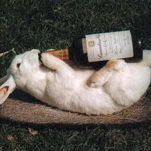 Stream M&M - Drunk Rabbit by FONOGEN | Listen online for free on SoundCloud