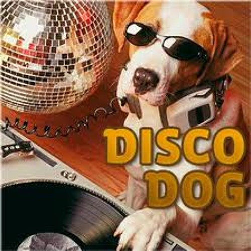 Stream Dirty Disco Dog, Marcus J- Werk yo Body (Original) by Dirty Disco Dog | Listen online for ...