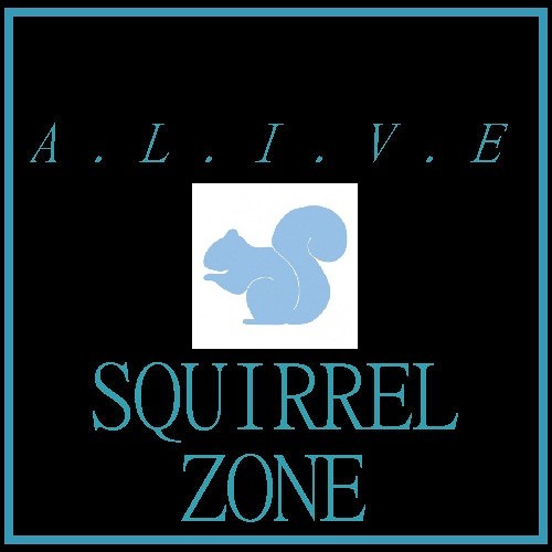 Stream The Sanctuary by Squirrel Zone | Listen online for free on ...