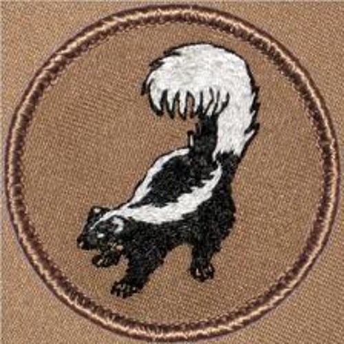 Stream Skunk Patrol-Borderland Dub by Skunk Patrol | Listen online for ...