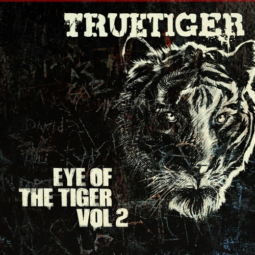 Stream Put Your Bet's On - True Tiger ft. Scrufizzer by TrueTiger ...