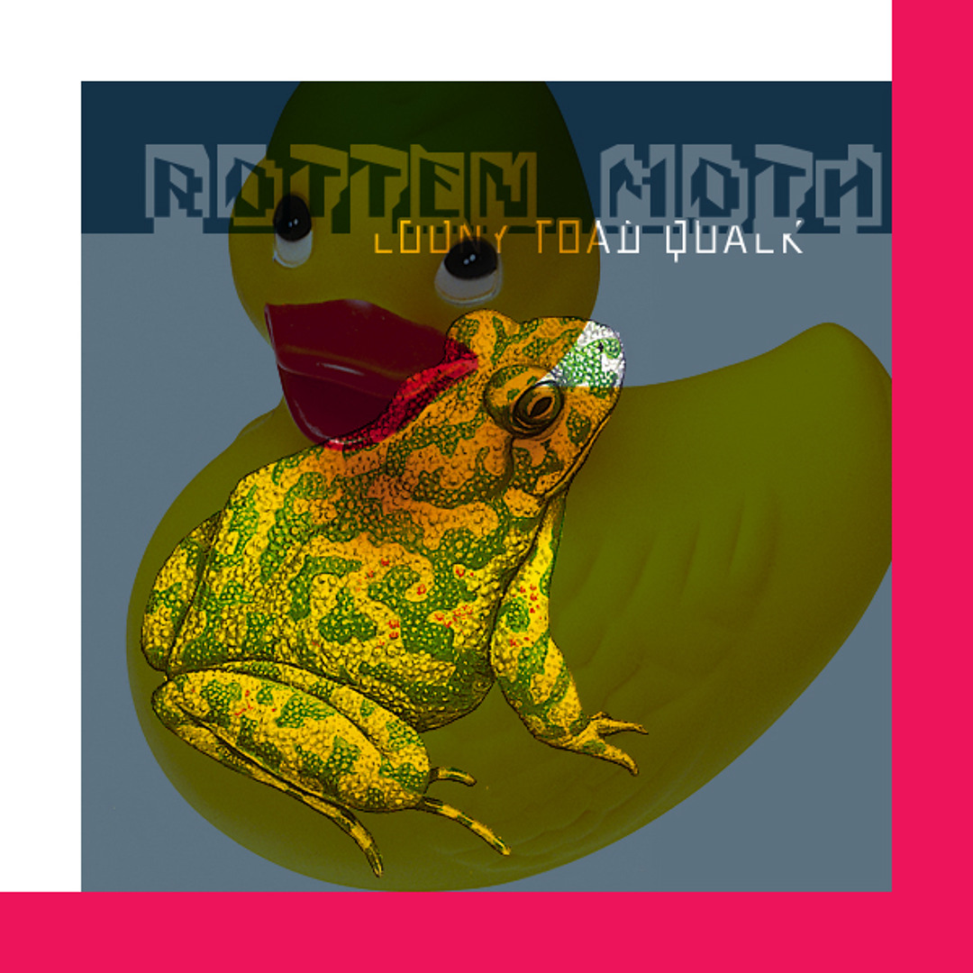 Stream Loony Toad Quack by Rotten Moth | Listen online for free on ...
