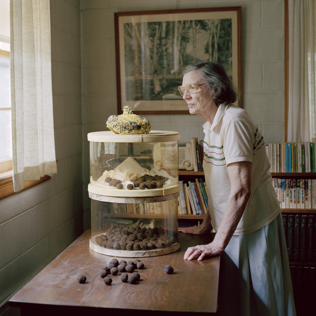 Stream Susan Worsham: Conversations with Margaret Daniel by Light Work ...