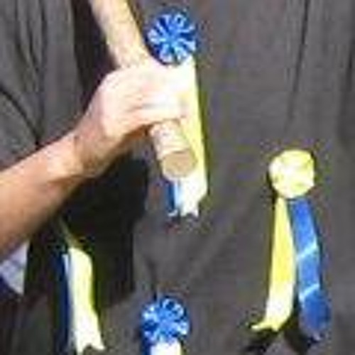 Stream Wrecker Richard's Morris Tune by Timothy Pillinger | Listen ...