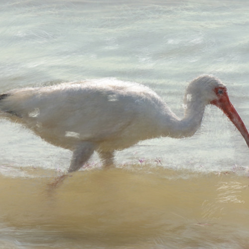 Stream Captiva by Scott Strawbridge | Listen online for free on SoundCloud