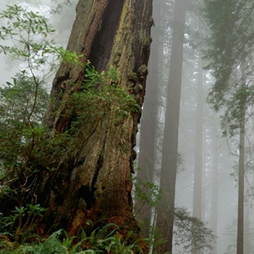 Stream Native Complex - i'm feelin' it by Native Complex BEATMAKER ...