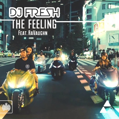 Stream DJ Fresh ft RaVaughn - 'The Feeling' (Hadouken! Remix) FREE ...
