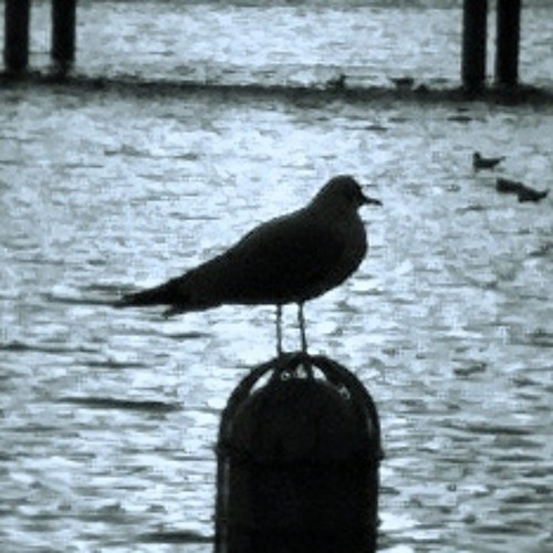 Stream Android Warehouse Limited | Listen to SH Cover Songs playlist ...