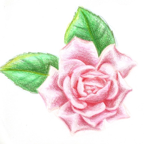 Stream user111919381 | Listen to bette middler playlist online for free ...