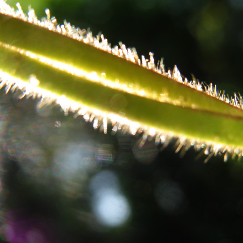 Listen to playlists featuring Truth Untold by Christian Chatman 1 ...