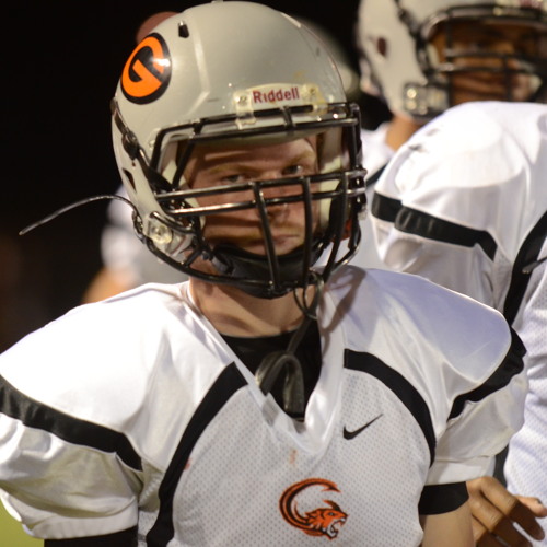 Stream Let's Go Defense / Let's Go Offense by austinthefreak | Listen ...