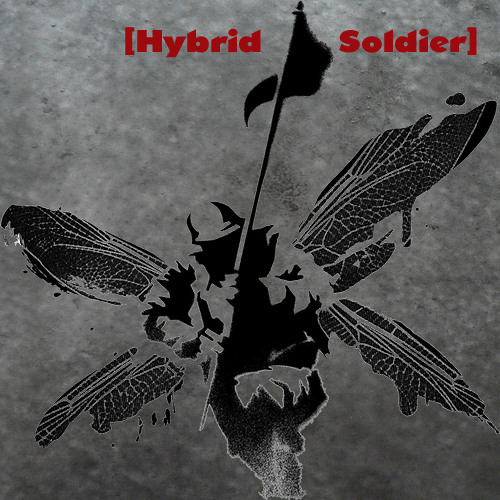 Stream Hybrid Soldier - Rock this world by Hybrid Soldier | Listen ...
