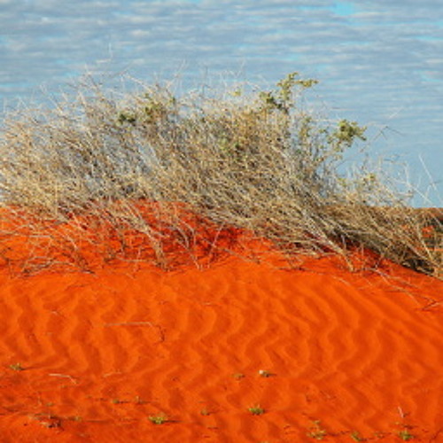 Stream The Sad Drones by Sera Miles | Listen online for free on SoundCloud