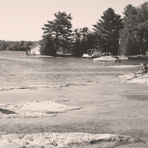 Stream Sky Barbarick - Paper Legs by Red Brick Songs | Listen online ...