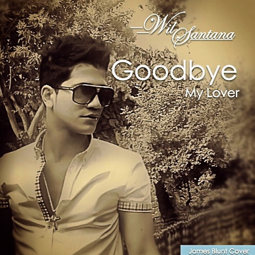 Stream Goodbye My Lover (Cover) by WilSantana | Listen online for free ...
