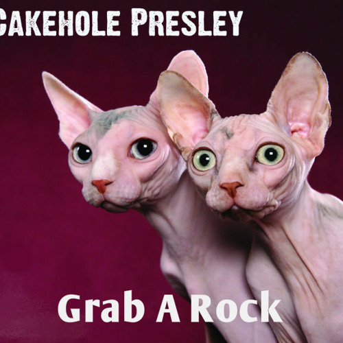 Stream Grab a Rock - Cakehole Presley ♪ by Cakehole Presley | Listen ...