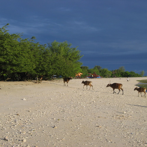 Stream Thunder Storm Part 1 - Gili Trawangan, Lombok, Indonesia by ...
