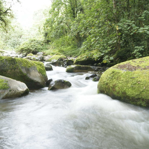 Stream Soothing Sound Of Water Flowing Free Download By Stream Soothing Sound Of Water Flowing Free Download By