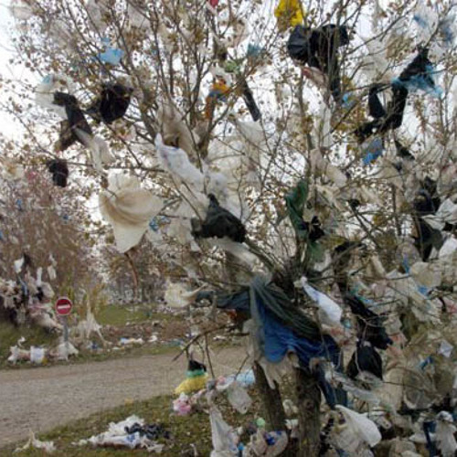 Stream Plastic Nation Lyrics By Sophia Gordon By Ni̶no̶ Y Listen