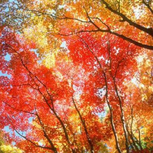 Stream A Thousand Years -Christina Perri By may Soo by May Soo | Listen ...