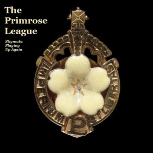 Stream Daniel Earwicker | Listen to Stigmata Playing Up Again playlist ...