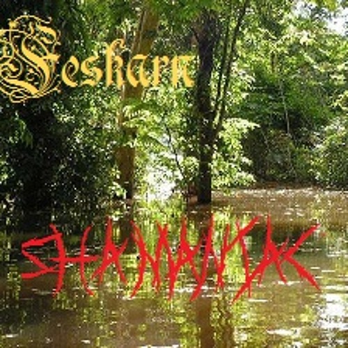 Stream Feskarn - Shamaniac by Feskarn | Listen online for free on ...