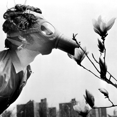 Stream KITTCHEN - BRICHO by KITTCHEN | Listen online for free on SoundCloud