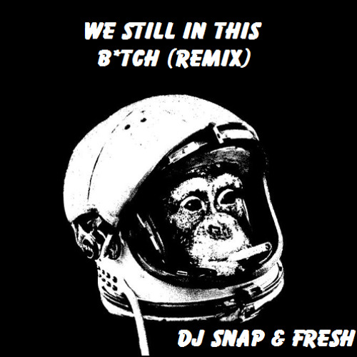 Stream We Still In This B*tch (Remix) by DJ Snap & Fresh | Listen ...