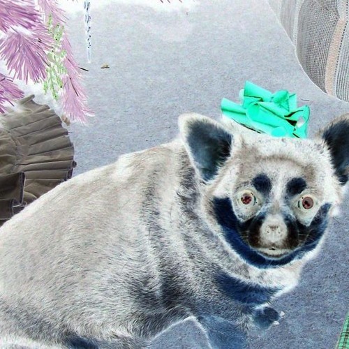 Stream GARY, WHY?! by CliveWarren | Listen online for free on SoundCloud