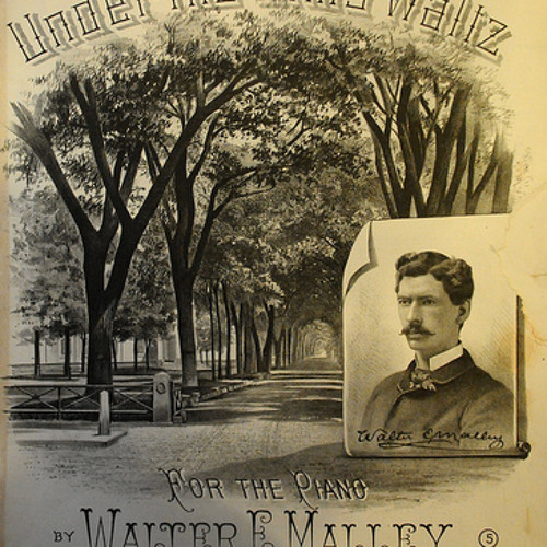 Stream PH Class-Under the Elms Waltz by Yale Public Humanities | Listen ...