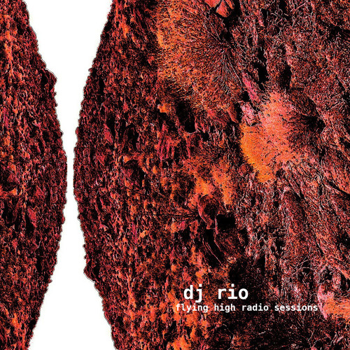 Stream DJ Rio Flying High Radio Sessions Mix #517 by DJ Rio NYC ...
