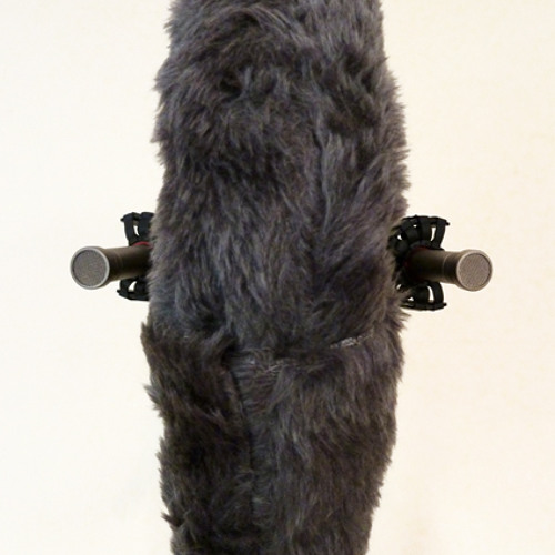 Stream Jecklin Disc Recording Example 3 by Martin Mitchell | Listen ...