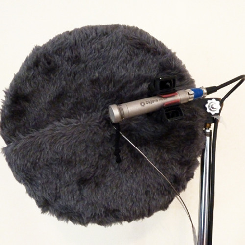 Stream Jecklin Disc Recording Example 1 by Martin Mitchell | Listen ...