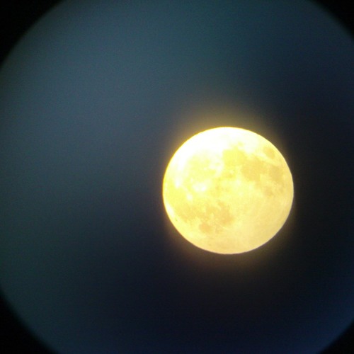 Stream utelo | Listen to The Black Lodge playlist online for free on ...