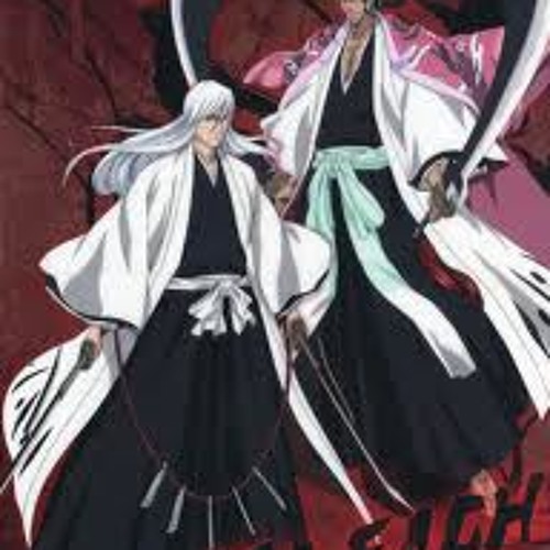 Bleach Concept Covers