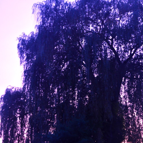 Stream Crystal Lab X Cosmal (Ryan Coyle Guitar Killer) by Crystal ...