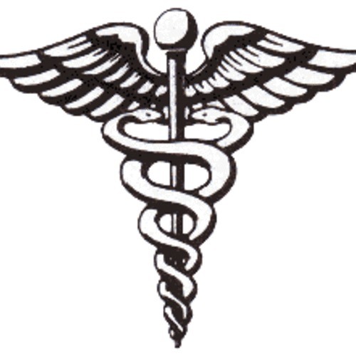 Stream The Perfect Parasite by Liam Gowing | Listen online for free on ...