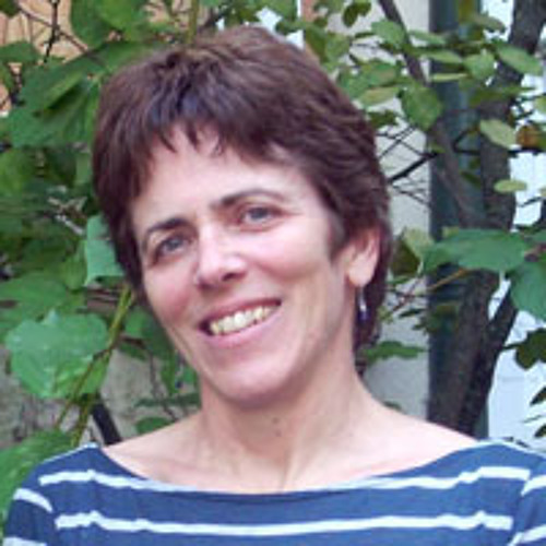 Stream Masculinity in Vietnam War Narratives with Brenda Boyle and Bill ...