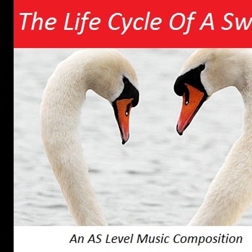 Stream The Life Cycle of a Swan by Thomas.Reid93 | Listen online for ...
