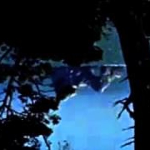 Stream heidisabertooth | Listen to heidi sabertooth sounds across time ...