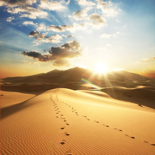 Stream HopeMedia | Listen to Tras sus huellas playlist online for free ...