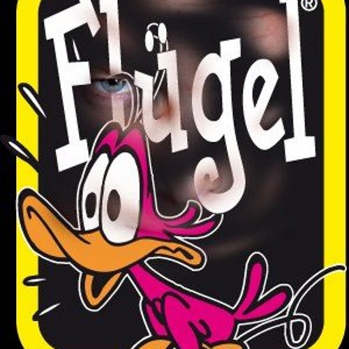 Stream Mr. Polska & Boaz vd Beatz - Hausa Wausa by Remco Goedhart ...