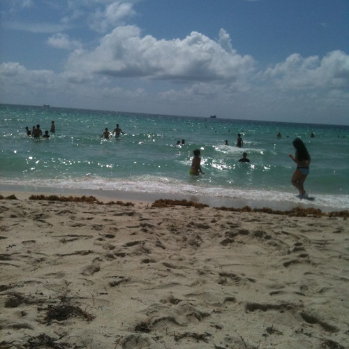 Stream see the seasons change (live) by Nora Stepanitis | Listen online ...