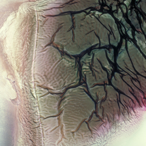 Stream Fissure - Tim Risher & Tom DePlonty by Tom DePlonty | Listen ...