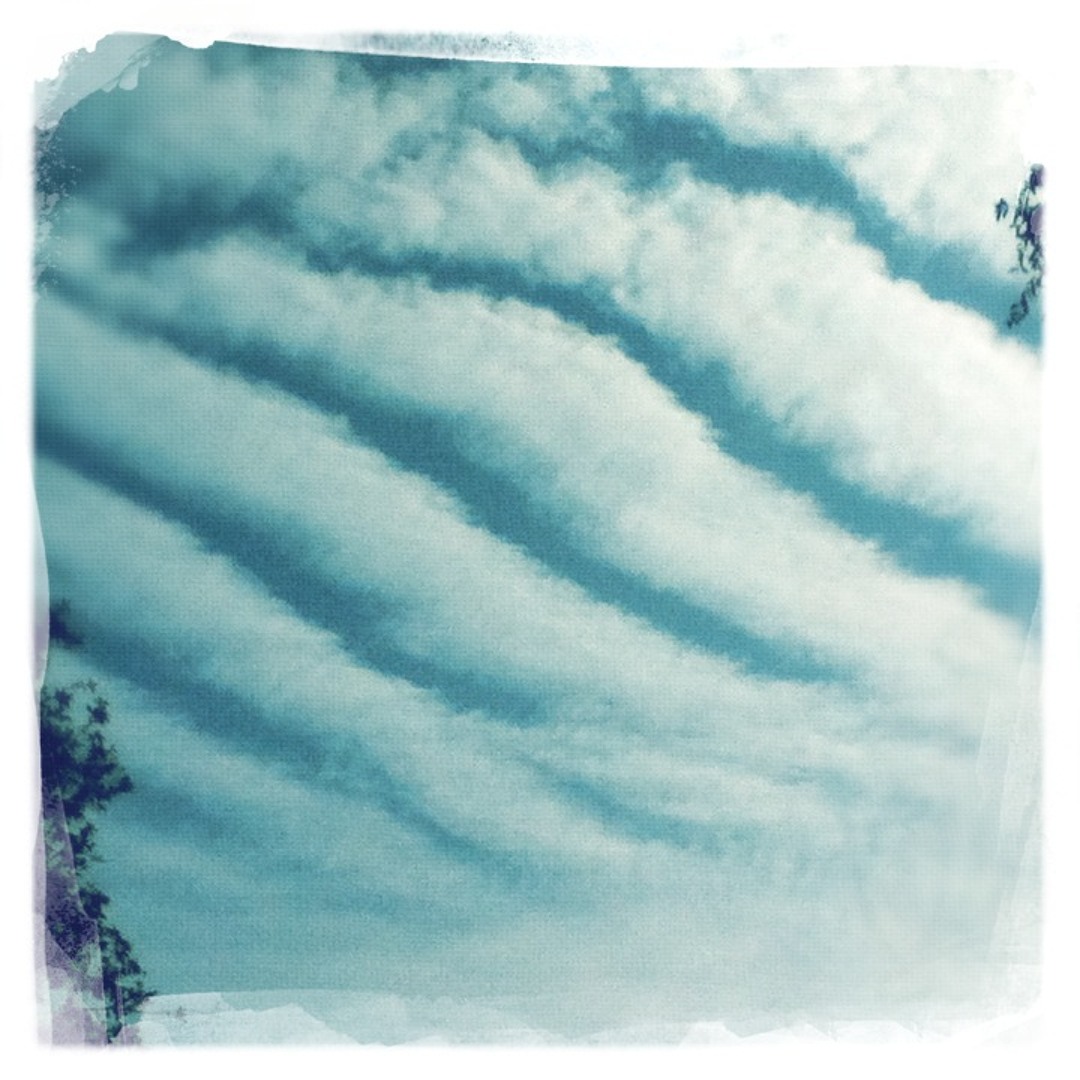 Stream dragoncloudz | Listen to The baby snakes, just say yes playlist ...