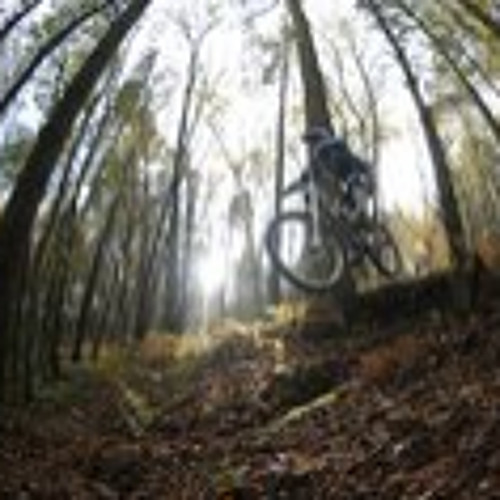 Stream in the woods by dominic gallagher | Listen online for free on ...