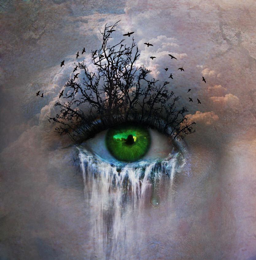 Photoshop eye | Eye art, Surrealism painting, Art photography