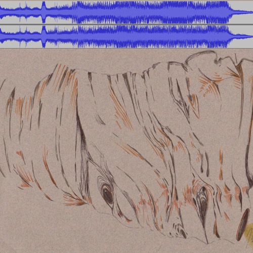 Stream Crumpled paper - timothy b layden by Synaesthesia | Phonetics ...