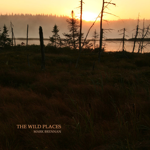 Stream The Wild Places, Album Sample by wildearthvoices | Listen online ...