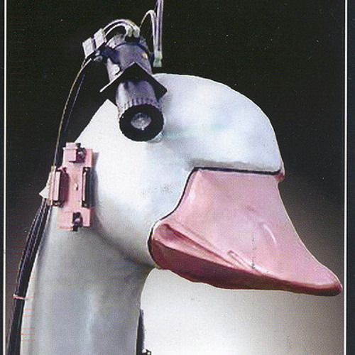 Stream Cyber-Goose by Youlogy | Listen online for free on SoundCloud